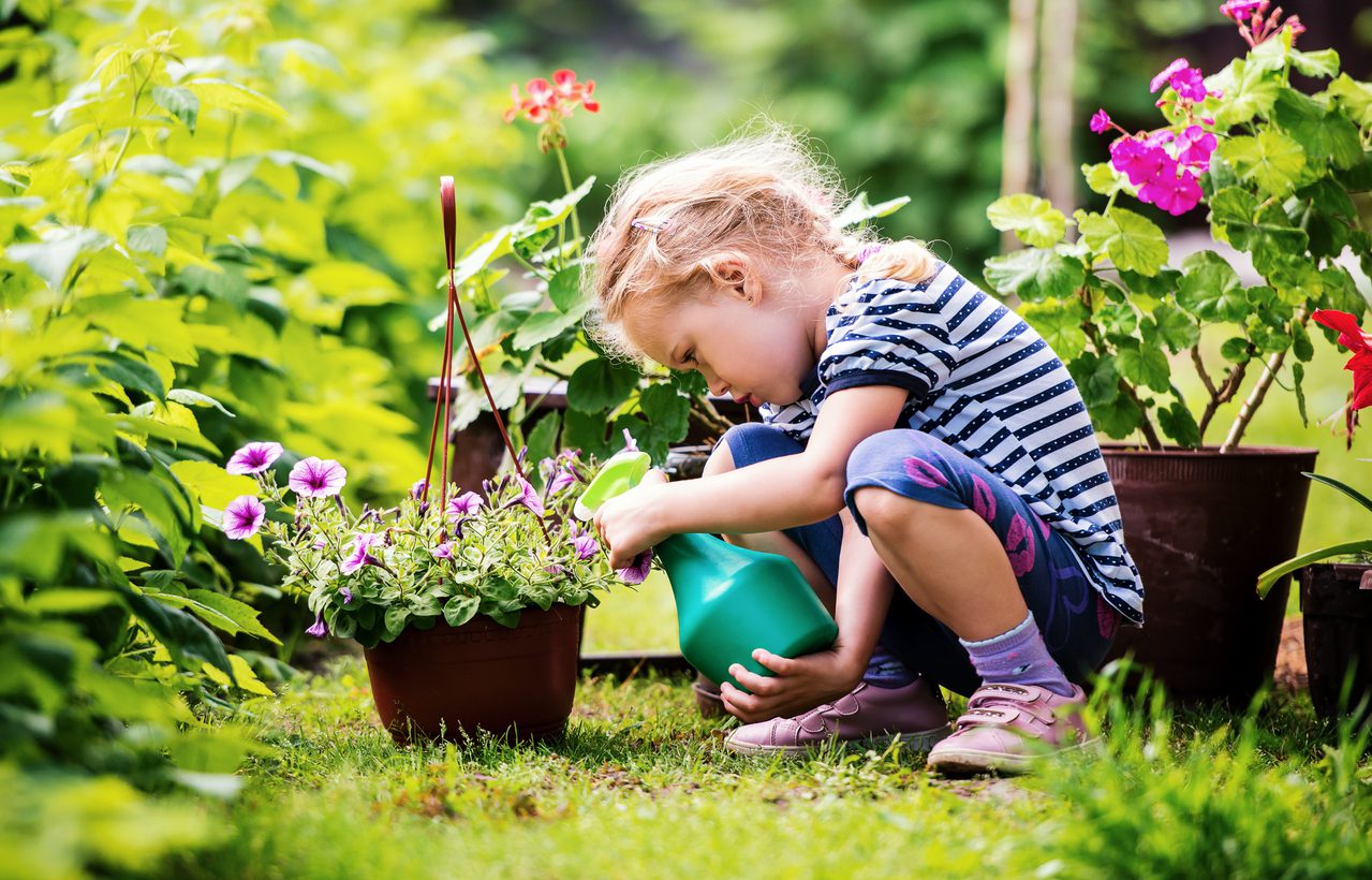 Teaching Kids the Art of Patience Through Gardening
